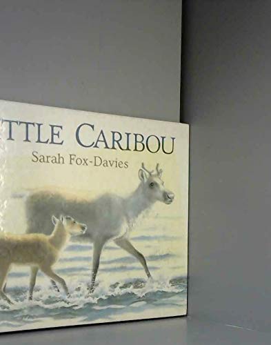 Little Caribou: FOX-DAVIES, Sarah: 9780744528374: Amazon.com: Books