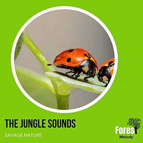 Play The Jungle Sounds - Savage Nature by VARIOUS ARTISTS on Amazon ...