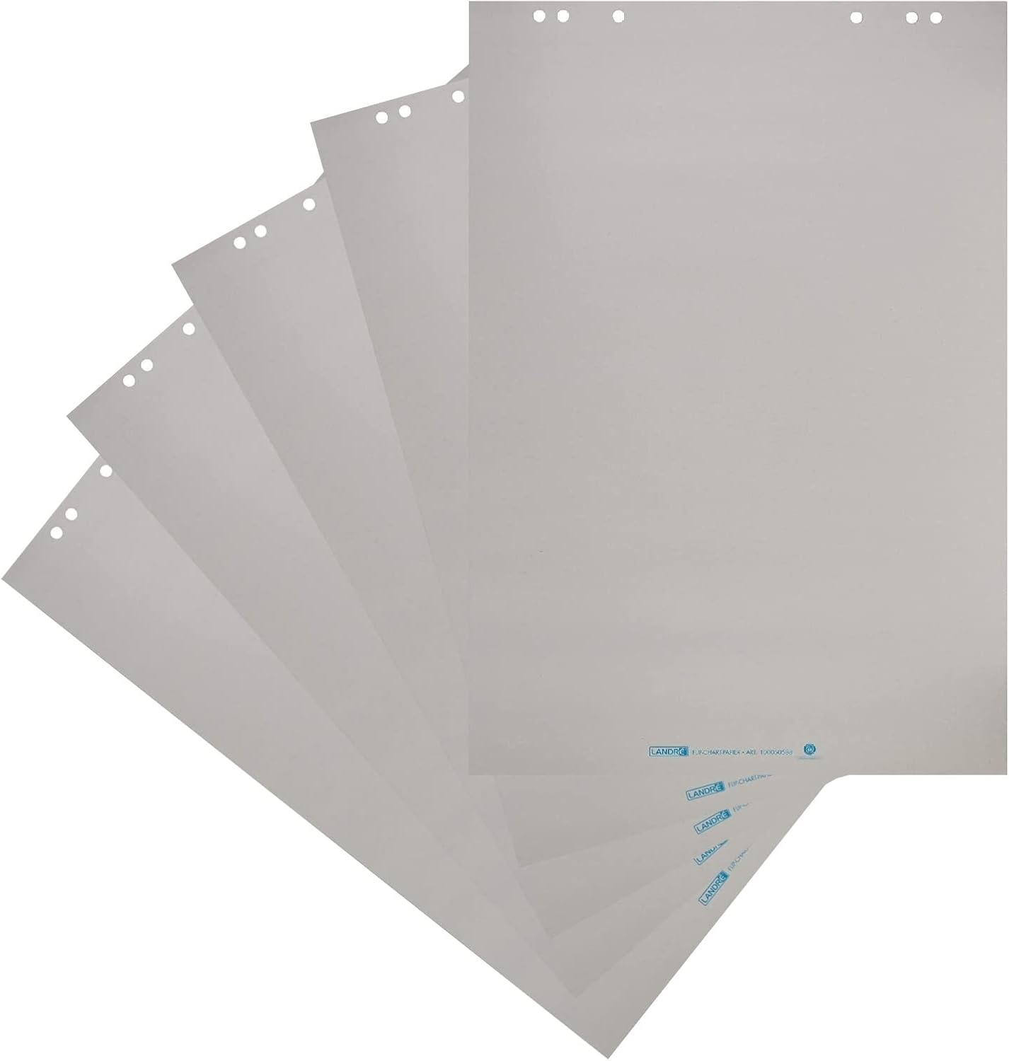 Landre 100050590 Flipchart Paper 10 Squared Pads 20 Sheets Per Pad, 80 ...