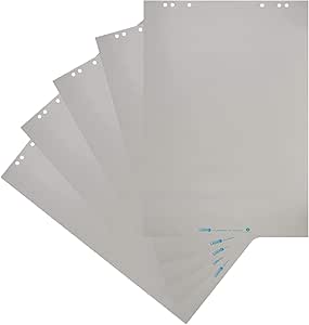 Landre 100050590 Flipchart Paper 10 Squared Pads 20 Sheets Per Pad, 80 ...