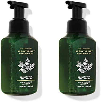 Amazon.com : Bath and Body Works 2 Pack Winter Citrus Wreath Gentle ...