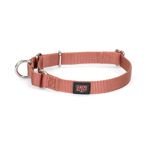 Good Dog Collar – Los 15 mejores productos comparados - Wild Explicado