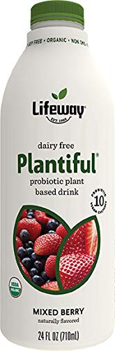 Amazon.com: Lifeway Plantiful, Dairy Free Probiotic Plant Based Drink ...
