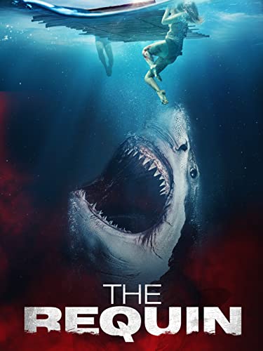 Die 16 besten Hai Filme - Boxspringbetten24