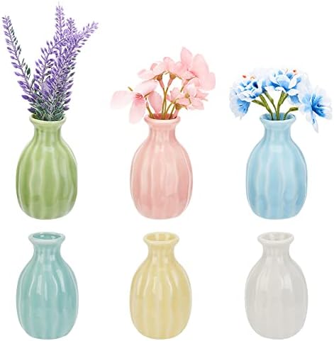 Amazon.com: NBEADS 6 Pcs Mini Ceramic Flower Vase, Rustic Decor Vase ...