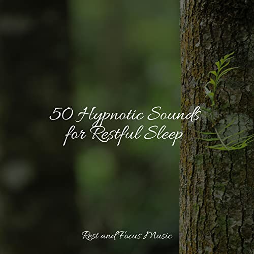 50 Hypnotic Sounds for Restful Sleep de Pro Sound Effects Library ...