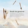 Amazon.com: Sustainable Agave Co - Agave Fiber Cutlery Set - 200 pcs ...