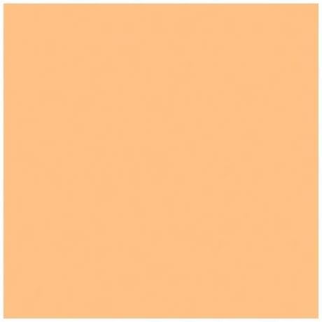 Amazon.com : Rosco Roscolux Pale Amber Gold, 20x24" Color Effects ...