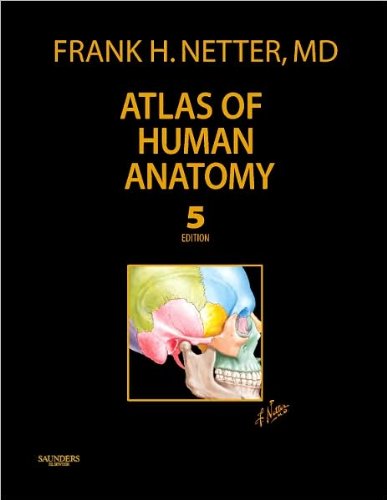 Atlas of Human Anatomy, Professional Edition (Netter Basic Science) 5th ...