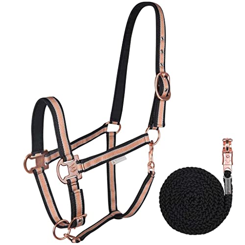 Halfter Und Strick – Die 16 besten Produkte im Vergleich