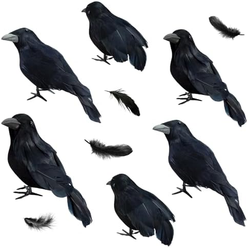 Amazon.com : NAISEN 5 Pack Crows Halloween Decorations, Assorted Size ...
