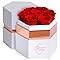 Amazon.com: GLAMOUR BOUTIQUE 7-Piece Rose Forever Box - Preserved Roses ...