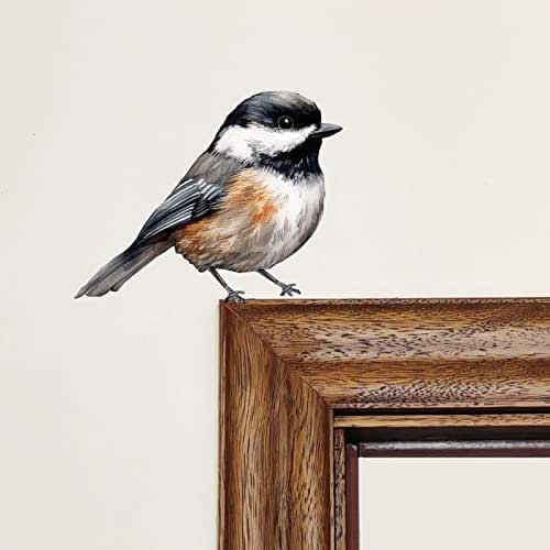 Amazon.com: Black-Capped Chickadee, Wall Sticker, Bird Vinyl, Nursery ...