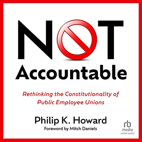 Amazon.com: Not Accountable: Rethinking the Constitutionality of Public ...