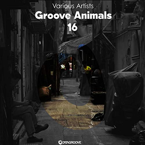 Play Groove Animals 16 by VARIOUS ARTISTS on Amazon Music
