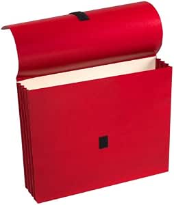 Wilson Jones ColorLife Expanding Wallets, 9.5 x 11.75 Inches, Red, 1 ...