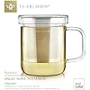 Amazon.com: Teabloom Premium Borosilicate Glass Mug with Stainless ...