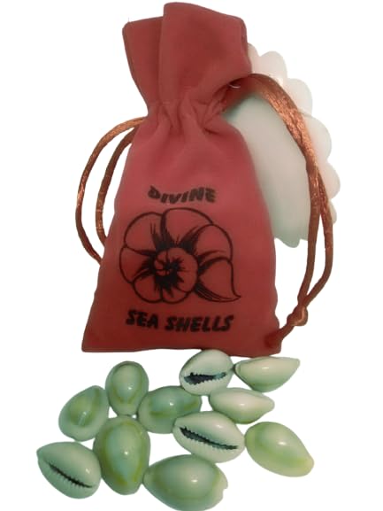 Buy Divine Sea Shells Beige Cowrie/Kaudi/Kodi Sea Shells (Medium) In ...