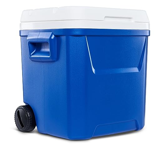 Ice Chest With Wheels – The 15 best products compared - Your Motor Guide