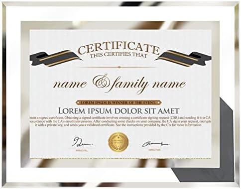 Amazon.com - Stockroom Plus 4 Pack 8.5x11 Glass Certificate Frames with ...