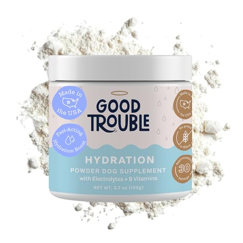 Dog Hydration – The 15 best products compared - Wild Explained