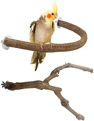 Amazon.com : Allazone Bird Natural Wood Stand Perch Swing U Shape ...
