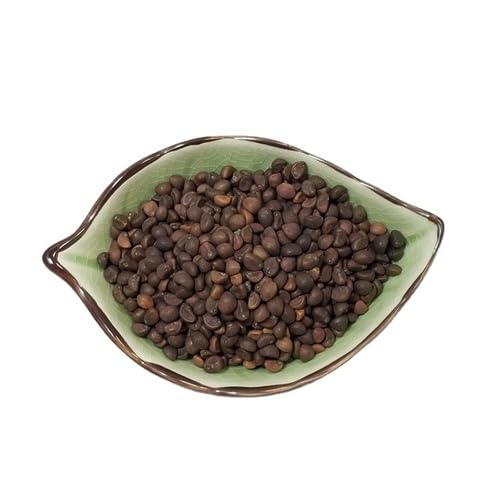 Indian Kalmi Shak Seeds Pack Of 130 : Amazon.in: Garden & Outdoors