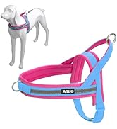 Amazon.com : AIITLE Adjustable Dog Harness with Padded for All Weather ...