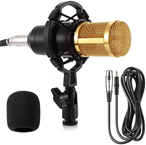 DEVICE OF URBAN INFOTECH BM-800 Condenser Microphone with XLR Cable ...