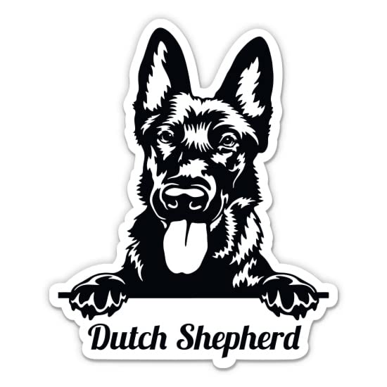 Top 10 Products for Choosing Between Dutch Shepherd vs German Shepherd ...