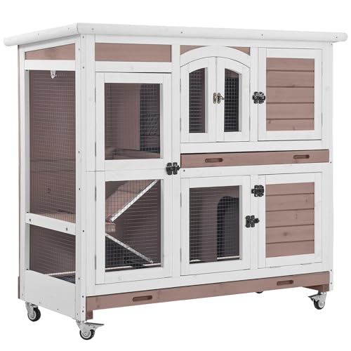 Top 10 Indoor Rabbit Cage Setup of 2022 - Katynel