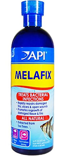 Api Melafix 473ml 16-Ounce | Treats Bacterial Infections : Amazon.in ...