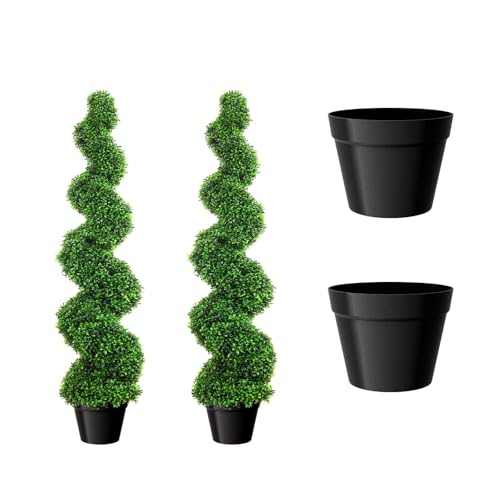 10 Best Boxwood Spiral Topiary Trees to Elevate Your Garden Style ...