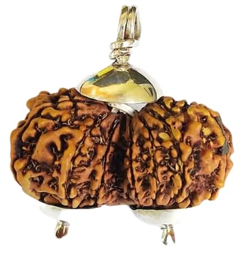 Buy BluDiamond गौरीशंकर रुद्राक्ष Gaurishankar Rudraksh Original ...