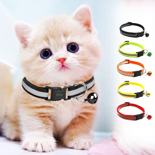 Amazon.in Bestsellers: The most popular items in Cat Collars, Harnesses ...