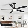 Amazon.com: Depuley 52-inch Ceiling Fan with Light: Black Ceiling Fan ...