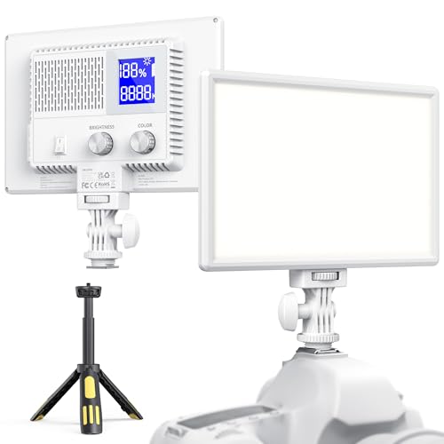 The 10 Best Led Light For Zoom Calls