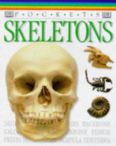 Skeleton (Pockets): Taylor, Barbara: 9780751356601: Amazon.com: Books
