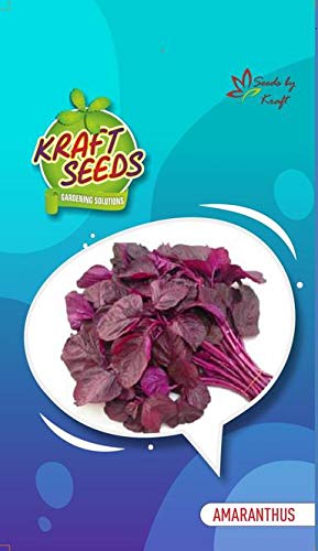 Buy Kraft Seeds Patio Vegetable Seeds Combo of Cholai Saag (Multicolour ...