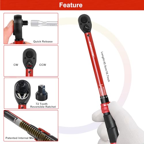ATsafepro Torque Wrench 1/2 Inch 20-220 Nm, Dual-Direction Adjustable ...