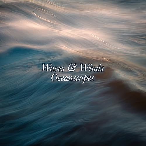 Amazon MusicでBeach Waves Specialists, Winds and Oceans & Wave SleepのWaves & Winds Oceanscapesを再生する