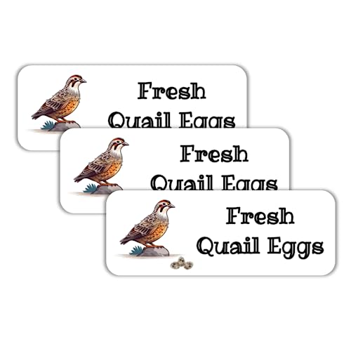 Amazon.com: 60 Quail egg carton labels, Thank you stickers : Handmade ...