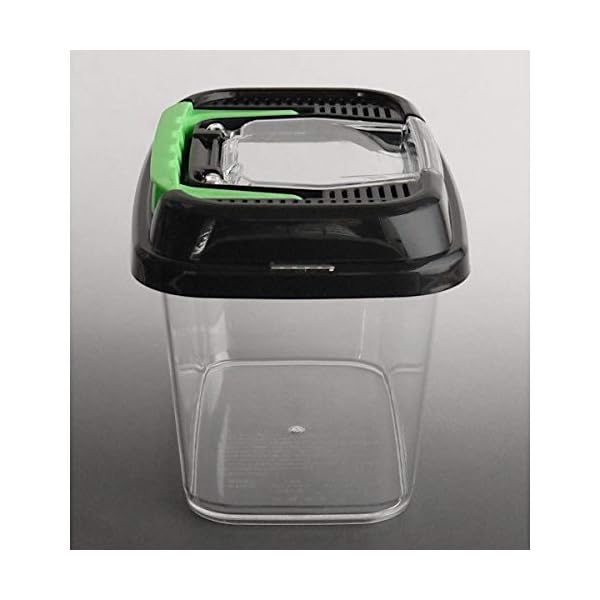 Critter Keeper with Handle, Easy to Observe, Terrarium for Bugs, Fish ...