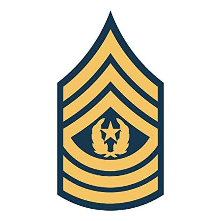 Amazon.com: EW Designs E-9 Command Sergeant Major Insignia Sticker ...