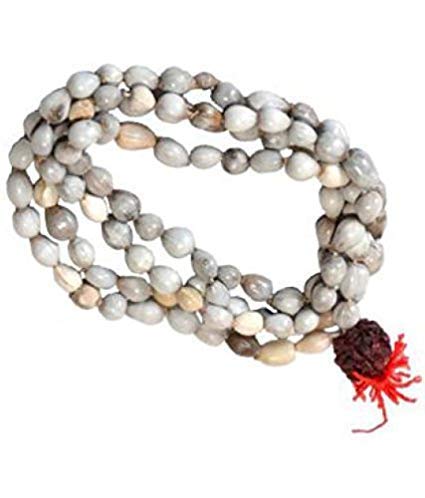 Shri Ji Natural 108+1 Beads Vaijayanti Mala Vaijayanthi/Vaijanti Mala ...