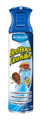 Top 10 Best Safe Bed Bug Killer : Reviews & Buying Guide - Katynel
