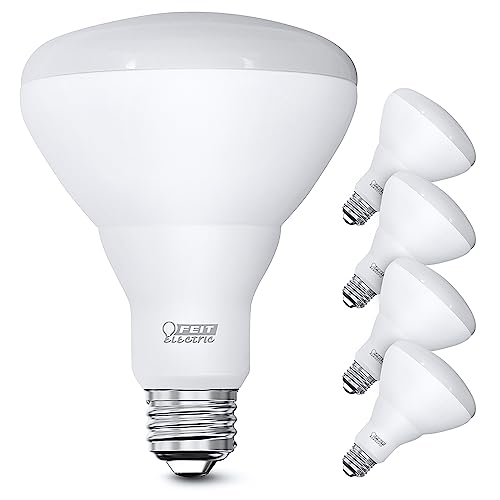 Top 10 Indoor Flood Light Bulbs of 2022 - Katynel