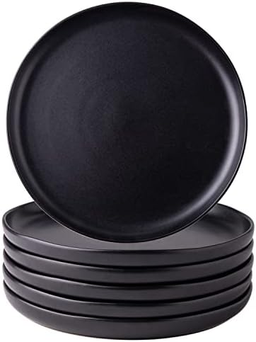 Amazon.com | Stone Lain Stoneware Round Dinner Plates Set, 4-Piece ...