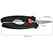 Amazon.com: Lobster Crab Shears, Yamix 3Pcs Multifunction Stainless ...