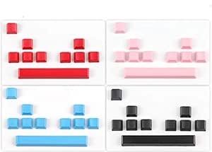10 Keys OEM Profile Thick PBT Keycaps Arrow WASD Esc 6.25u Spacebar ...